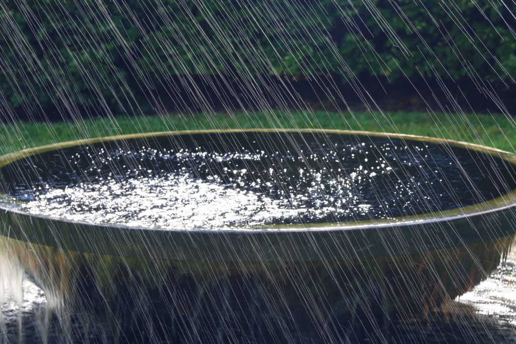 Water Bowl | Bushman Dreyfus Architects